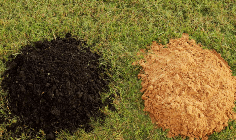 Potting Soil vs Topsoil – Differences + Which to use for Grass? - Green ...